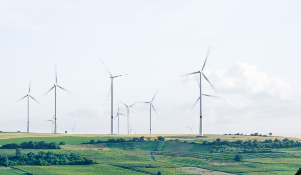 Greenwashing: Was ist das? Wie funktioniert es? - Selfpackaging Blog